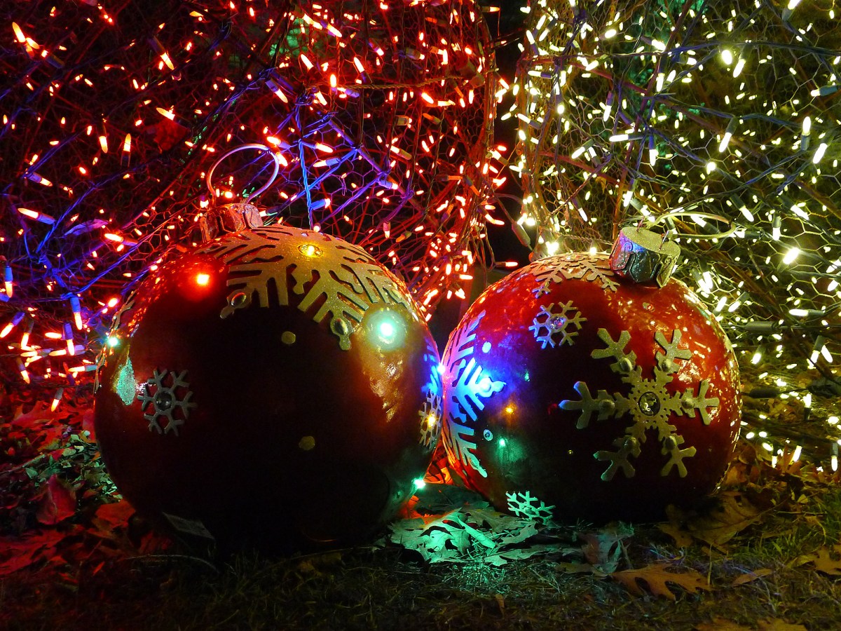 Lightscape – The Simple Luxuries