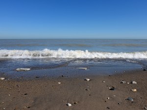 Walk with a Naturalist: Fort Sheridan – The Simple Luxuries